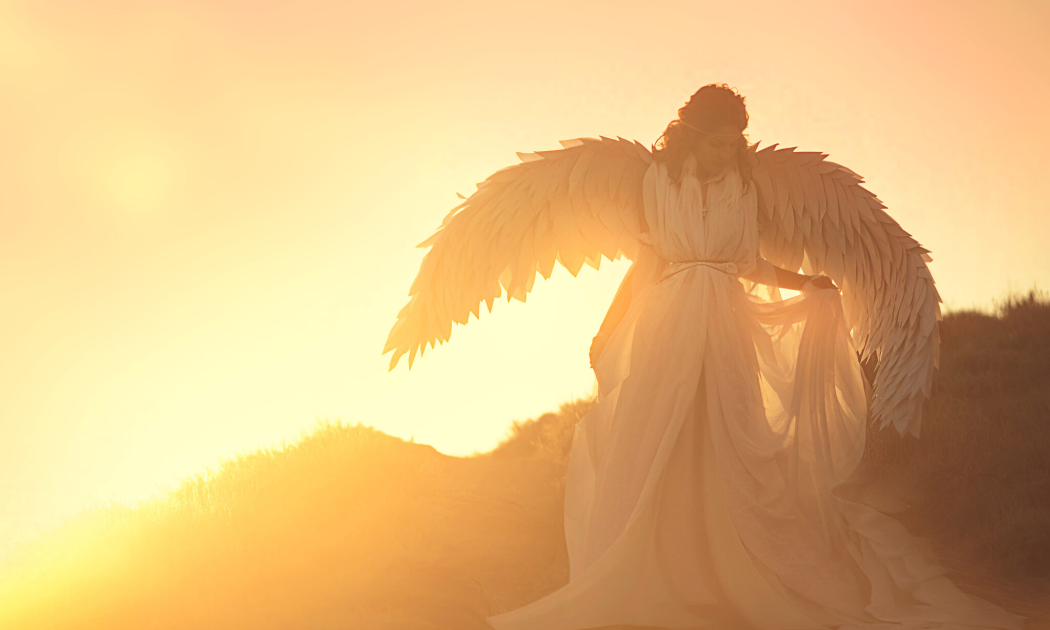 About Angel Card Readings – A Phoenix Healing